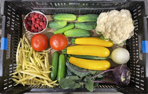 CSA Lite Share (Weekly): $25 per week (23 weeks)