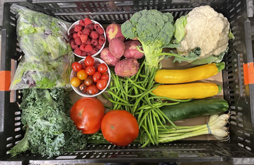 Photo Gallery | Rochon Gardens | Ottawa