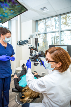 Endodontist | 3D Endodontics | United States