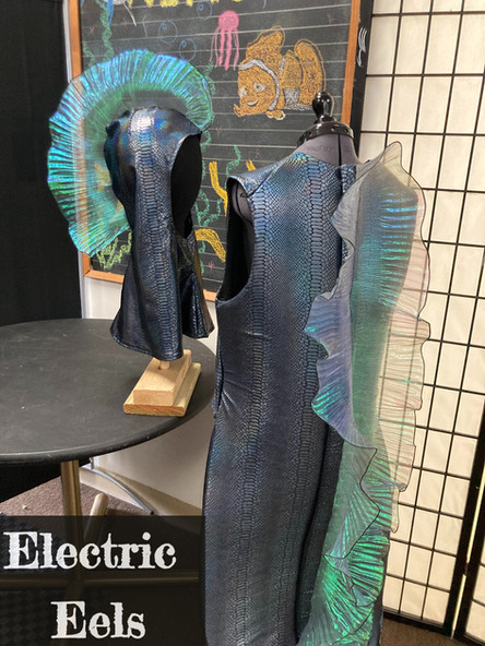 Finding Nemo Jr. | CNY Costumes