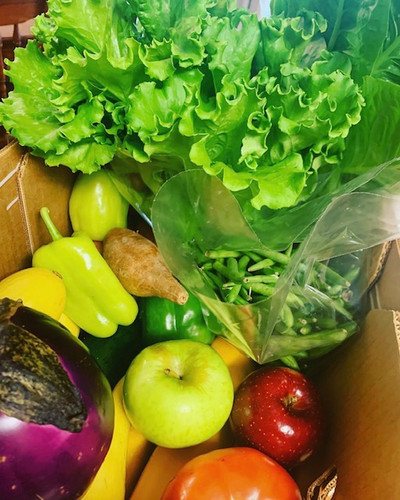 Tiger Valley Large Produce Box | Tiger Valley Farm