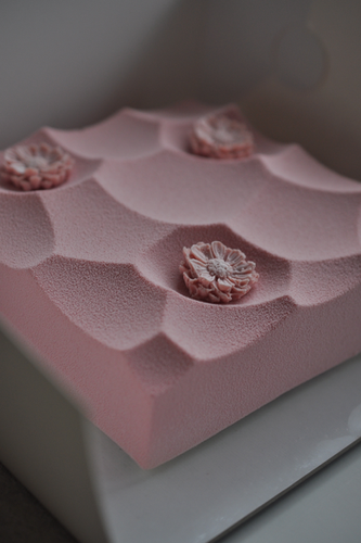 Cells | T.A.I.P CAKE