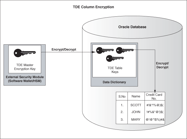 Oracle TDE (Transparent Data Encryption)