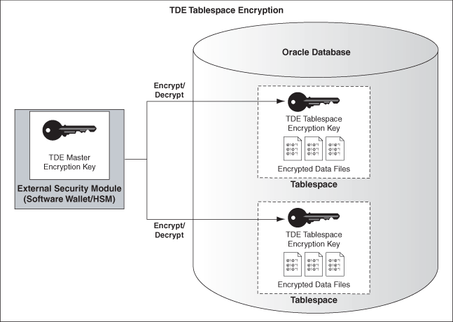 Oracle TDE (Transparent Data Encryption)