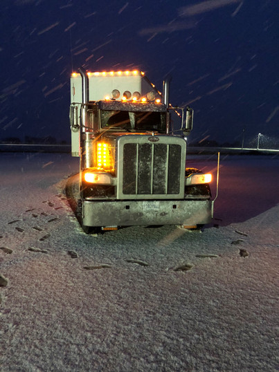 Seed treatment | County Line Seeds | United States