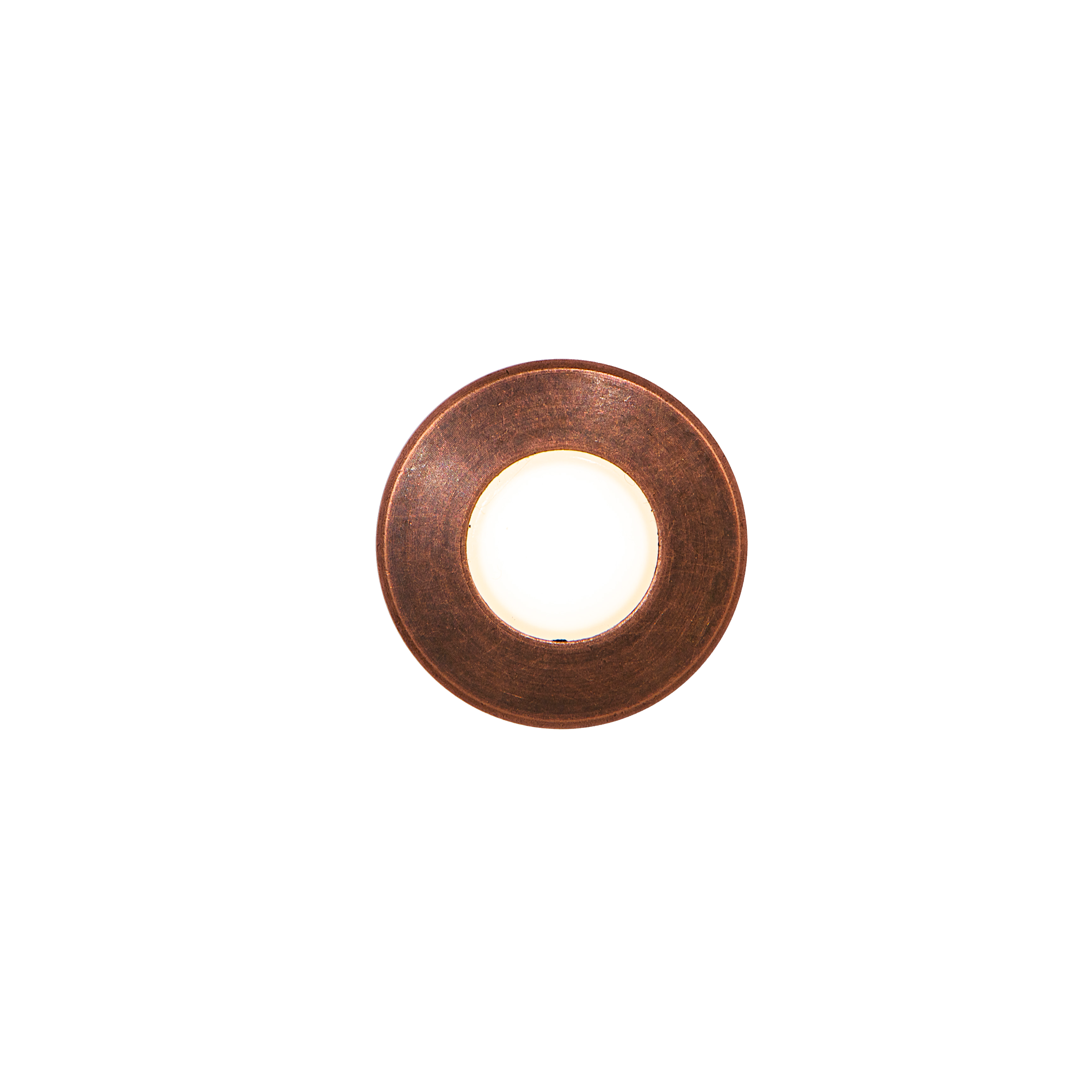 Endurance Recessed Light