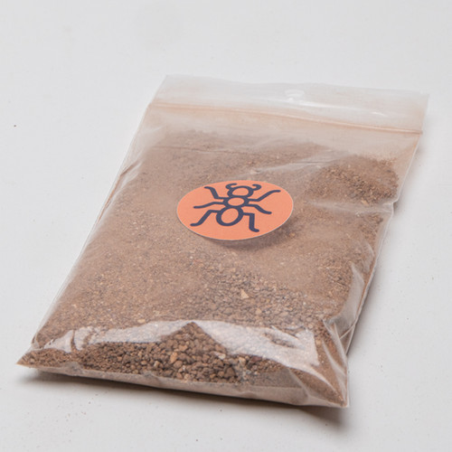 Red Clay Sand - 100 Grams | Esthetic Ants