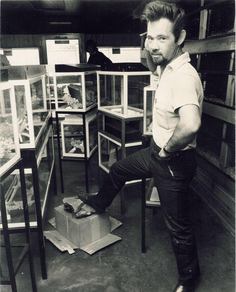 An adult orphan finds her longlost dad