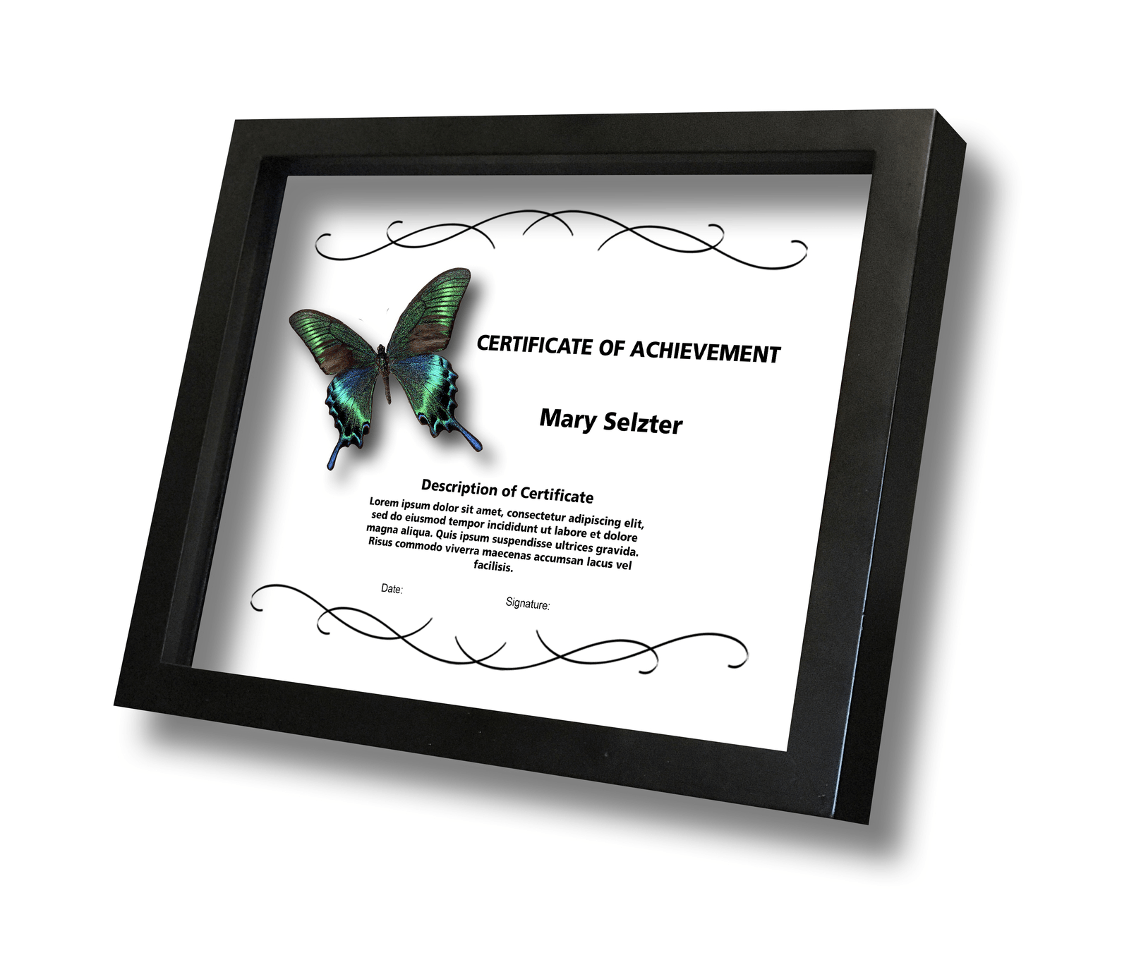 Bright Style Horizontal Plaque | Arts of Science