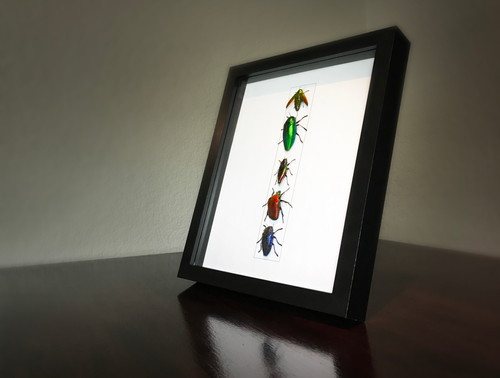 Chrome Column | Arts of Science