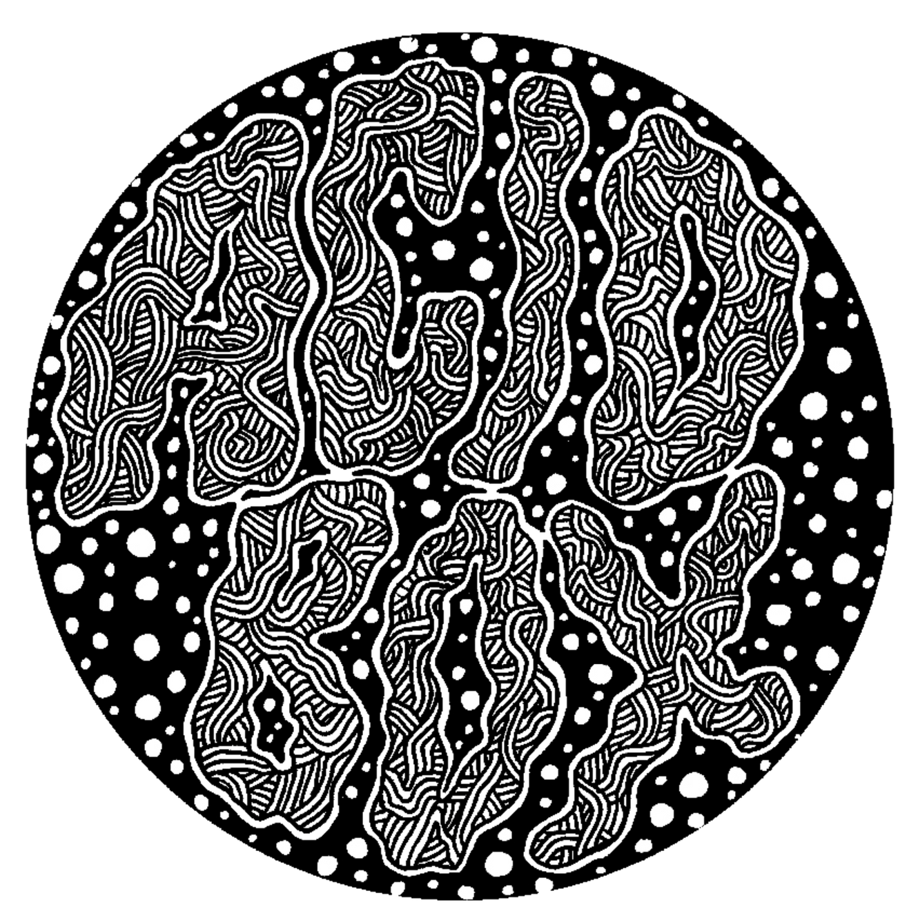 Acid Box Promotion | Brighton | Contact