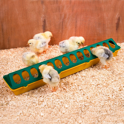 Chick Feeder Trough - Large | Northern Hylines