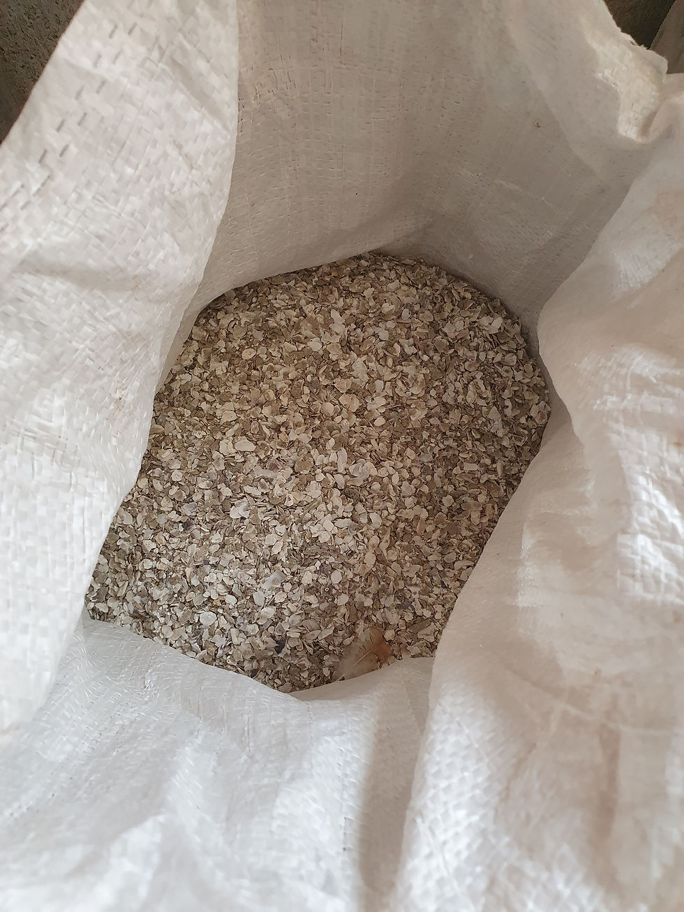 Oyster Grit – 25kg bag | Northern Hylines