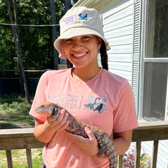 About | North Florida Wildlife Center