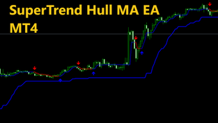Premium Forex Robots EA MT4 MT5 | Eaproducer.com