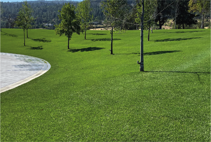 Kickstart, Cool Season Turfgrass