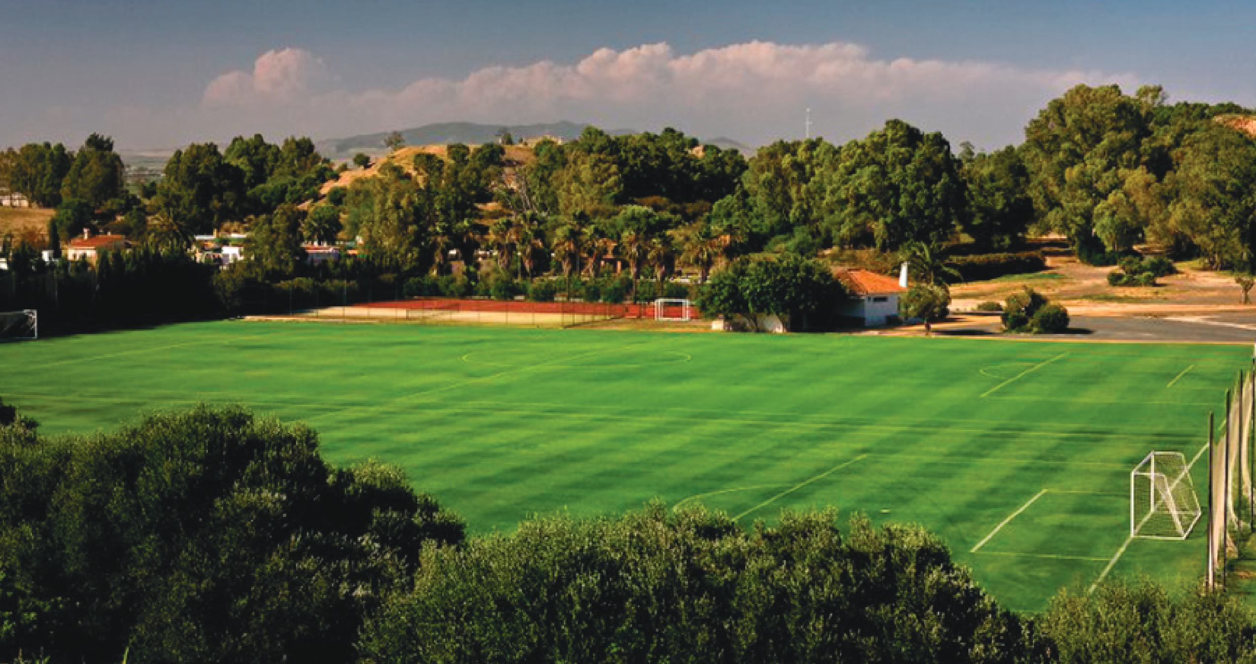 North Shore SLT, Warm Season Turfgrass