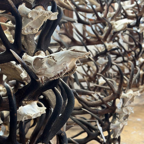 Gallery | Southern Alps