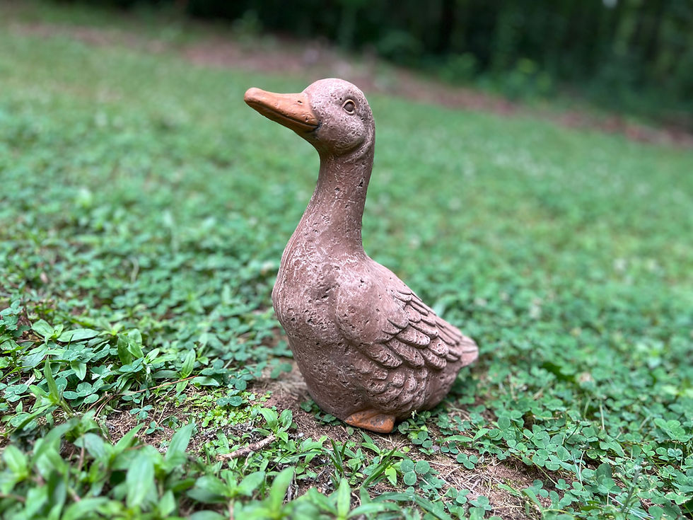 SHOP | Rubbermoldman