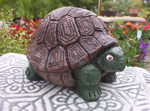 Small Round Turtle | Rubbermoldman