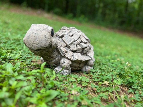 Stone Turtle | Rubbermoldman