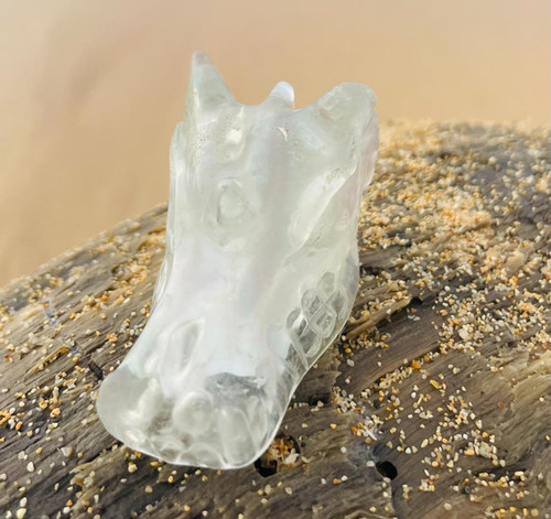 Andara Elder Mini Dragon 🐉 | Ameera Atlantis