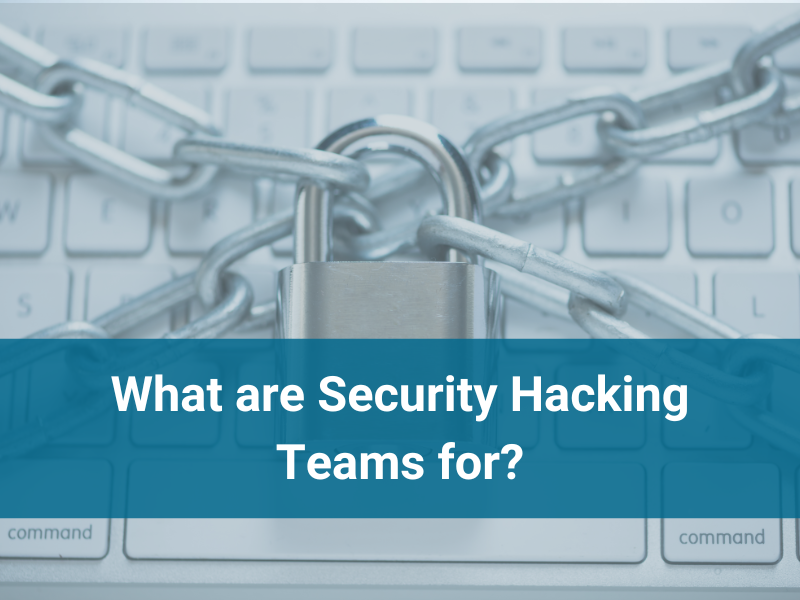 What are Security Hacking Teams for?