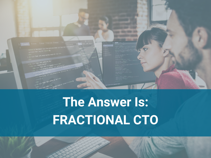 The answer to your needs is: FRACTIONAL CTO