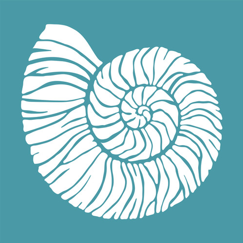 Ammonite Stencil | Funky Fossil