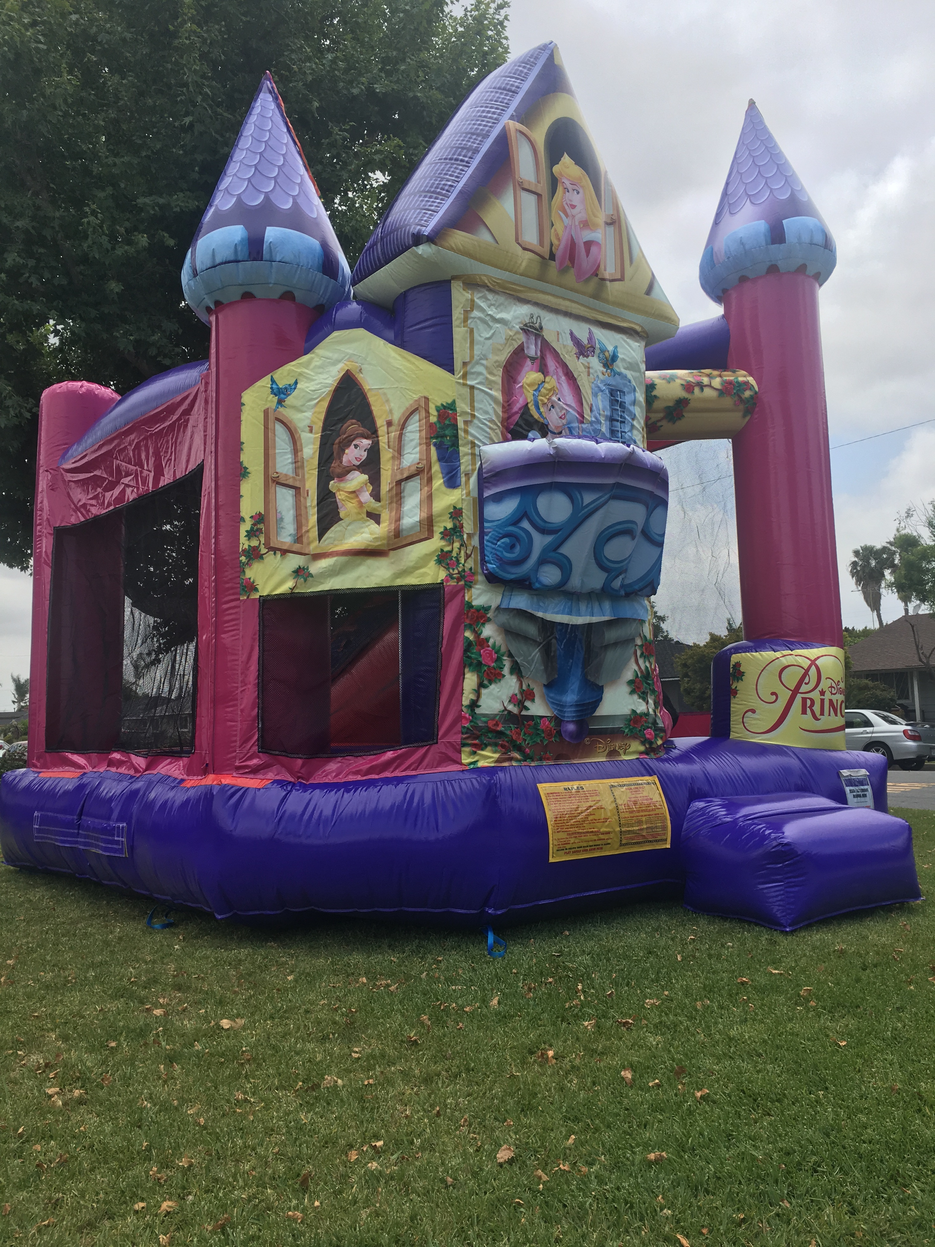 Disney Princess 3D Jumper | Whittie,CA | Chris's Jumpers