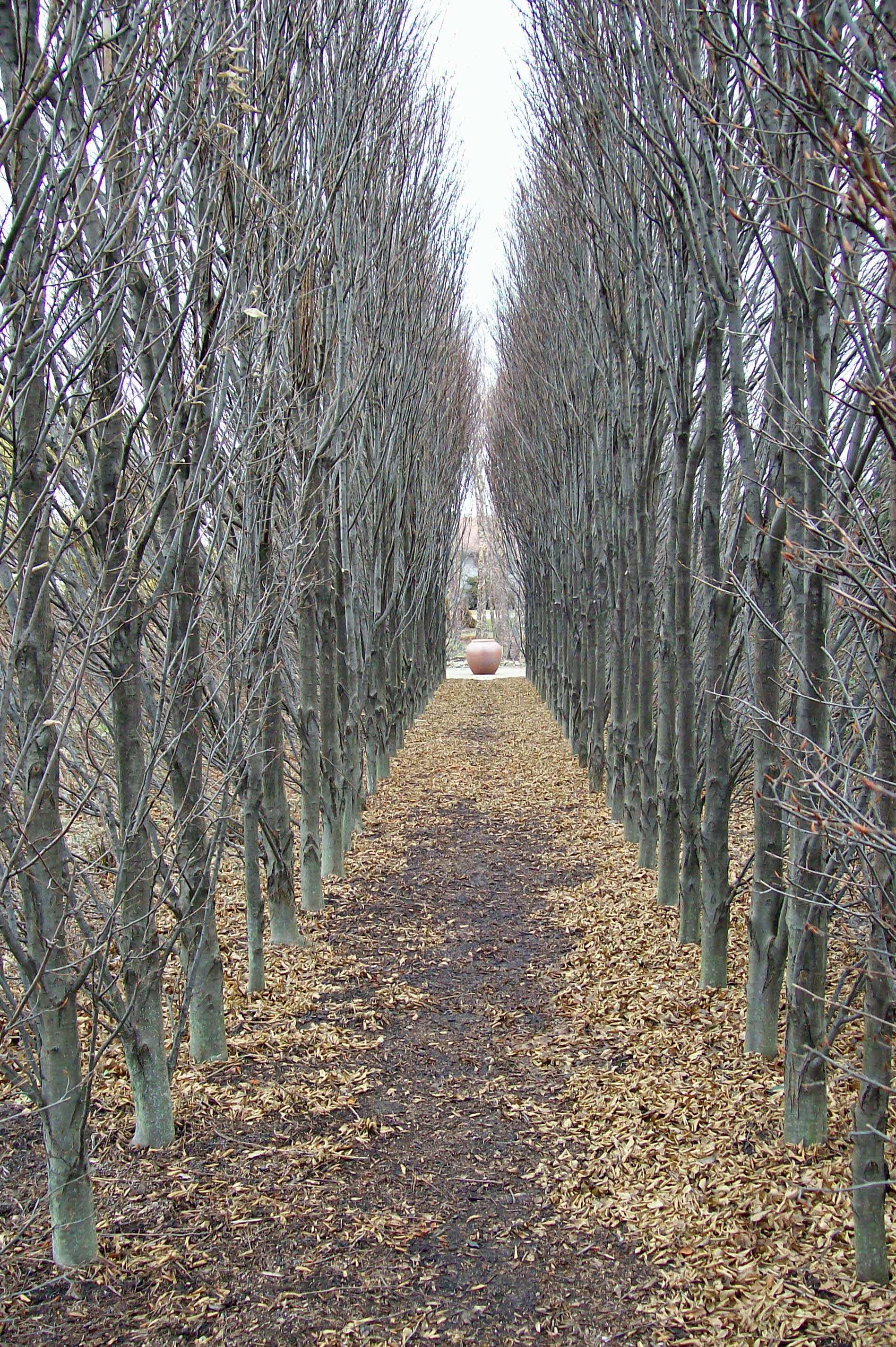 Oakwood Center | Retreat Facility | Nature Education | Indiana