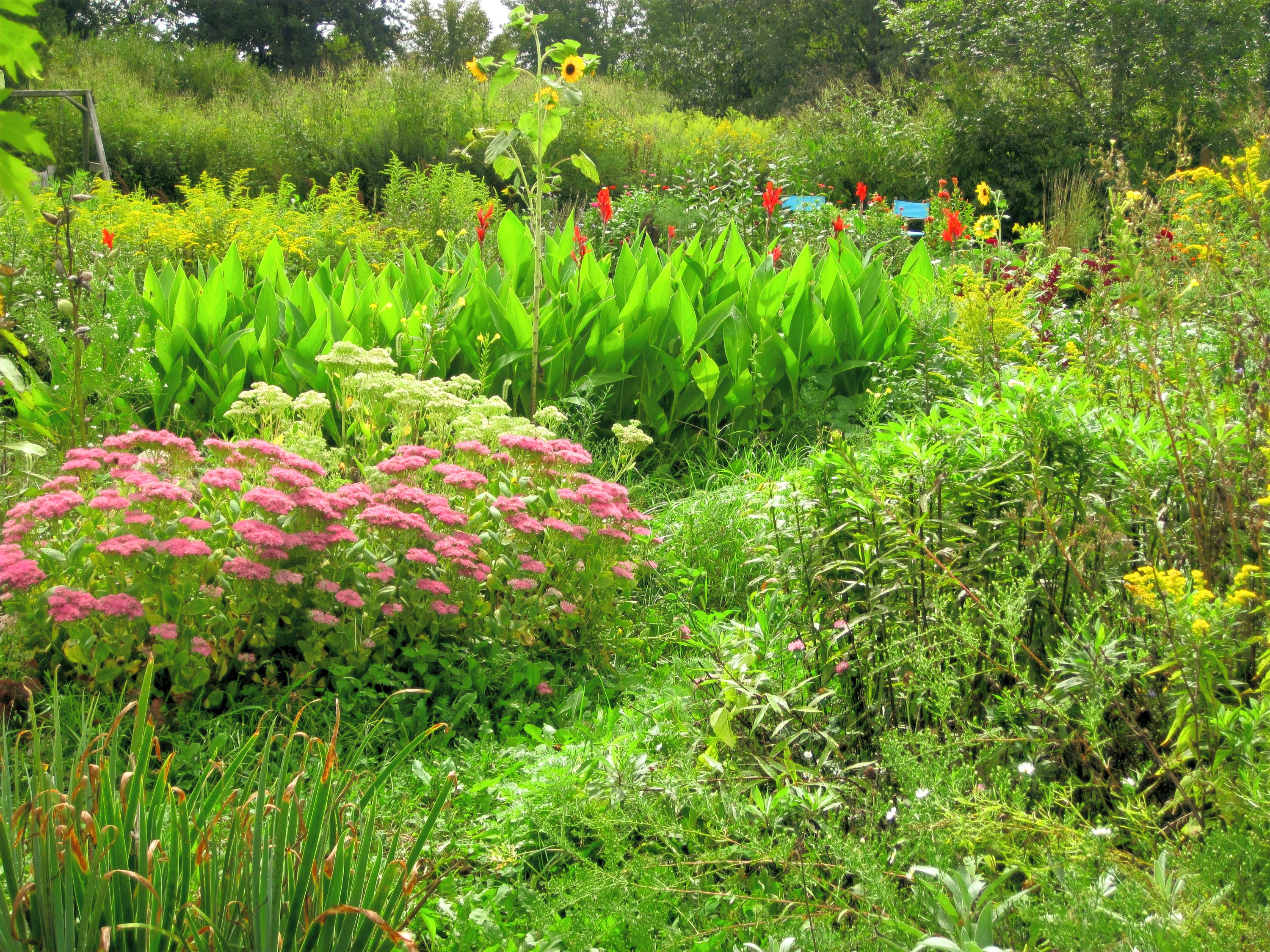 Oakwood Center | Retreat Facility | Nature Education | Indiana