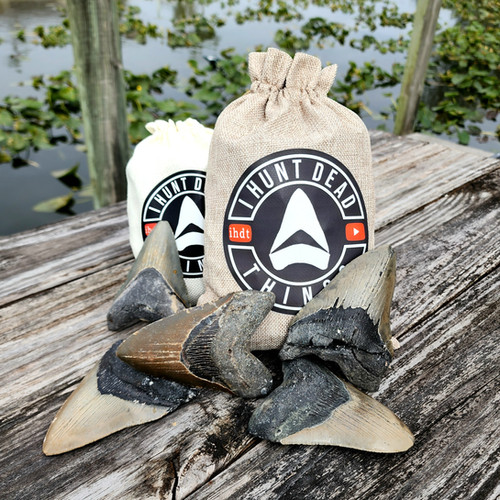 MEGA PACK! Guaranteed Megalodon 4-5 inches & 50 more Teeth | I hunt ...