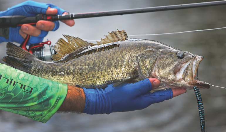 Home | virtualbassfishing.com