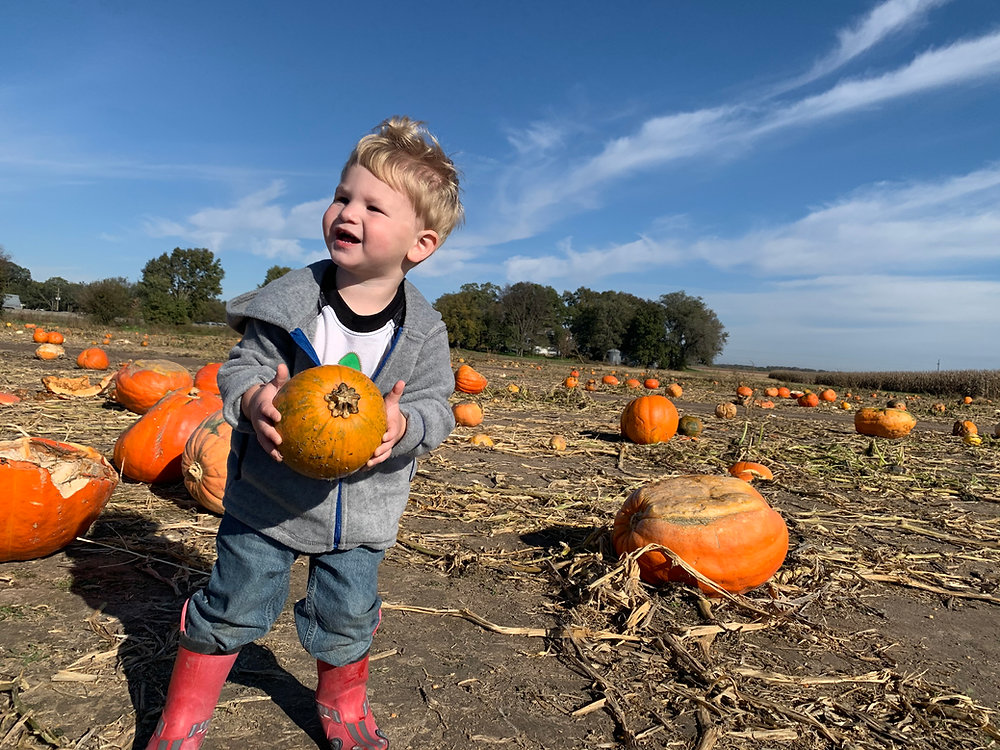 Schaake’s Pumpkin Patch draws large turnout despite rain’s impact on crop