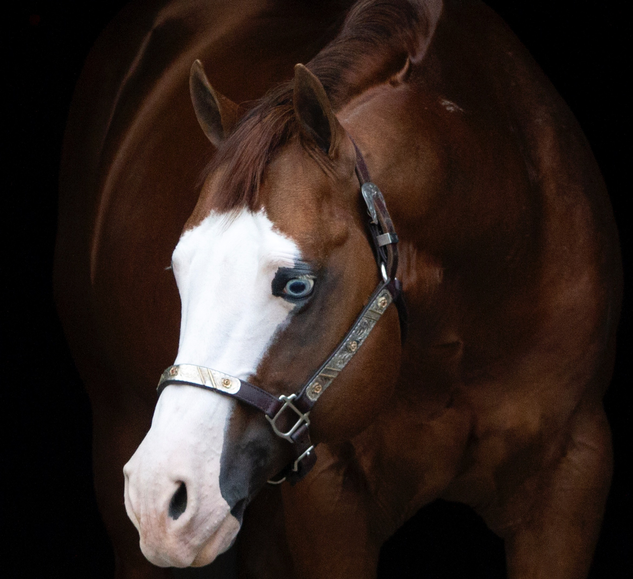 The Kids Gotta Gun | Santa Hill Ranch