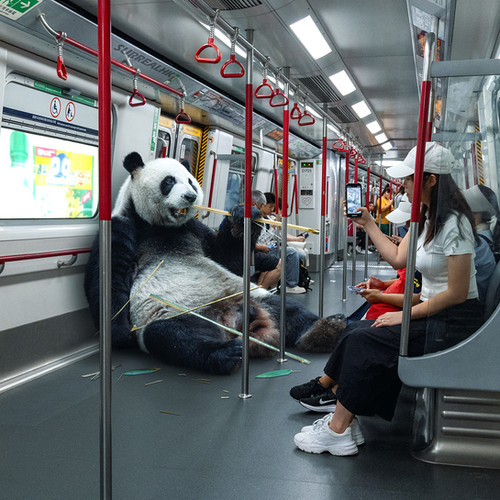 Panda at MTR (2024) | 13A New Street