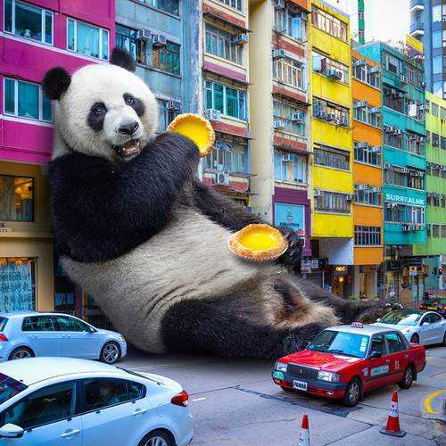 Panda eating Egg Tart (2024) | 13A New Street
