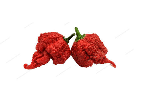 Graines de Piment The Beast | Passion Piment