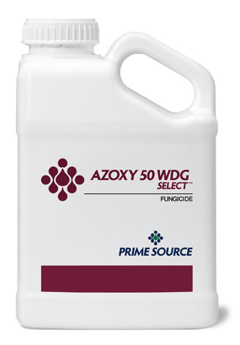 Albaugh Azoxy 50 WDG Select | pendelton