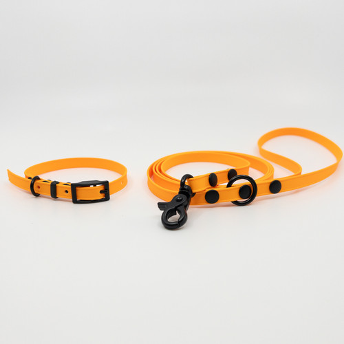 LEASHES | East Coast Paws