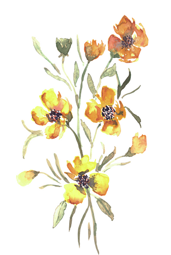 Amber Blooms | Kristen Sonja Design