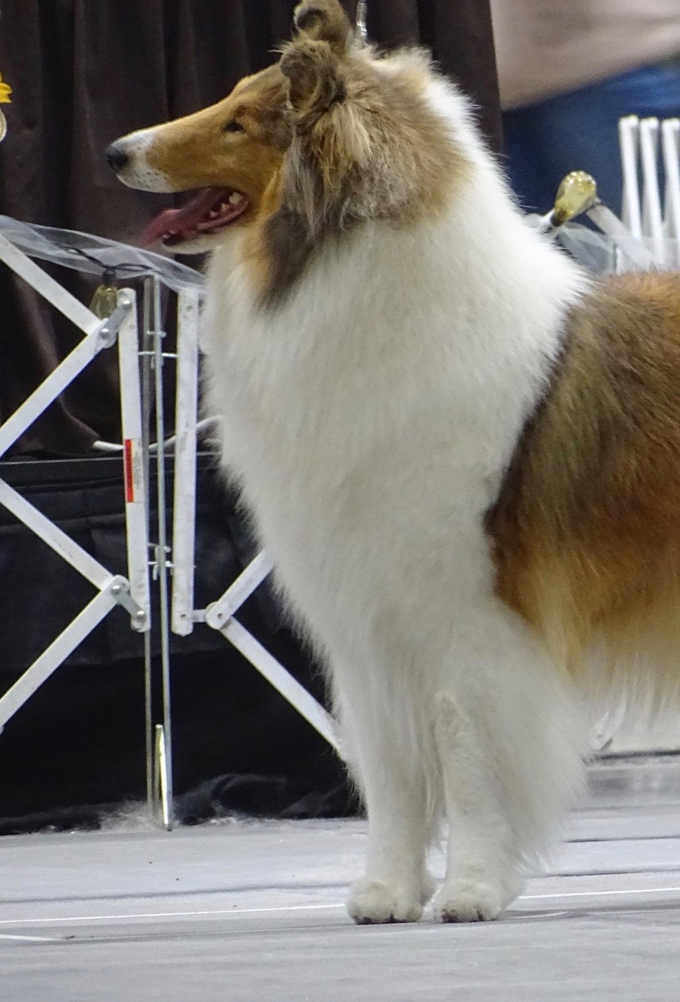 Aurealis Classical Era