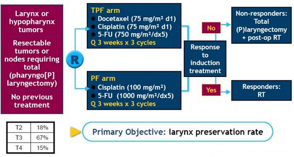 Essai GORTEC 2000-01 | monsite-1