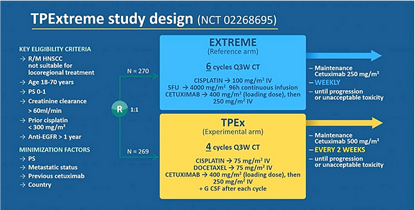 Essai TPEx | monsite-1