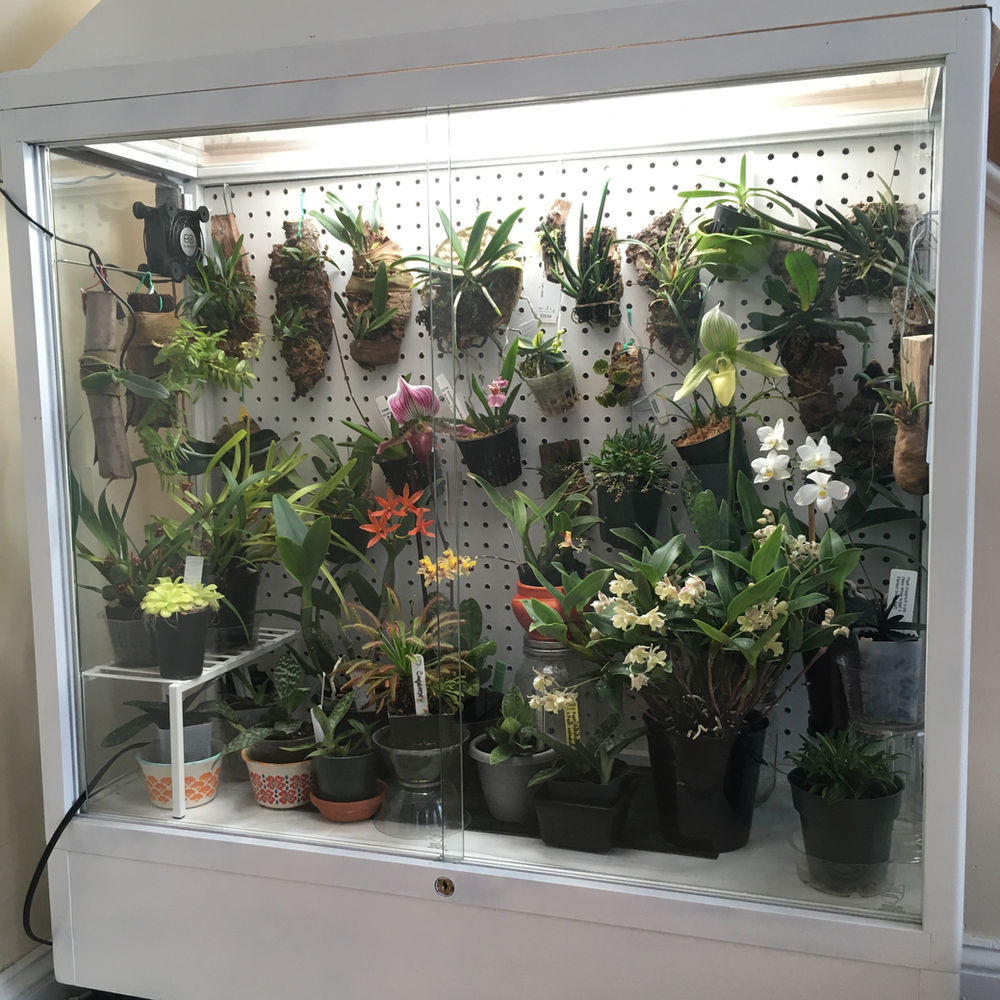 DIY Orchidarium