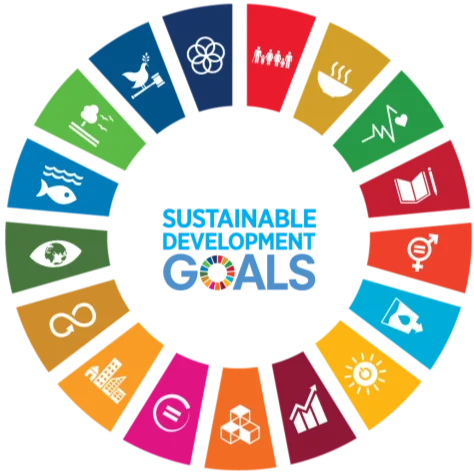 Virtual Learning | SDG Hub