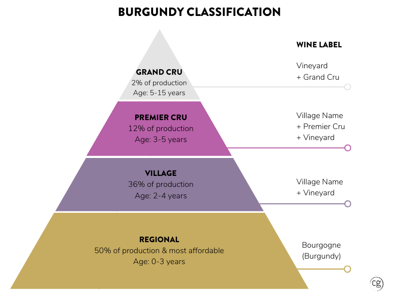 Exploring the Burgundy Wine Region