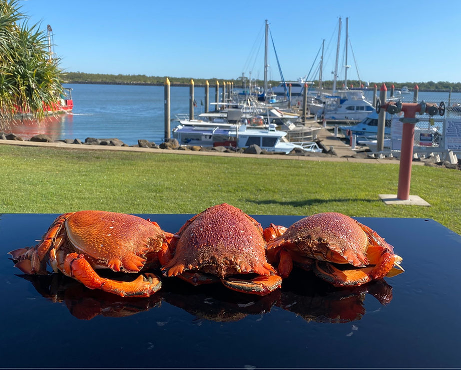 Spanner Crab | Ocean Pacific Seafoods