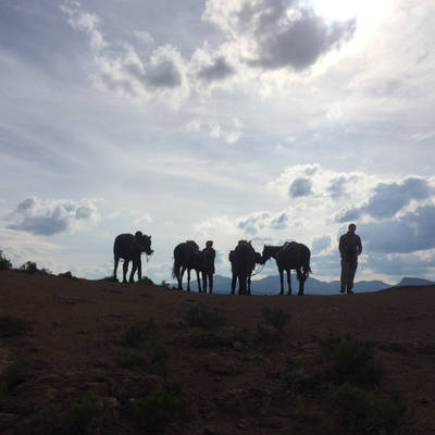 Khotso | Horse Trails Specialists | Underberg & Southern Drakensberg